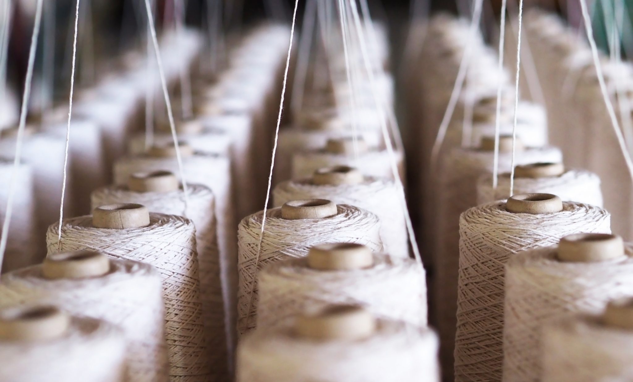 GOTS, OCS, Fairtrade : bien comprendre les labels du coton
